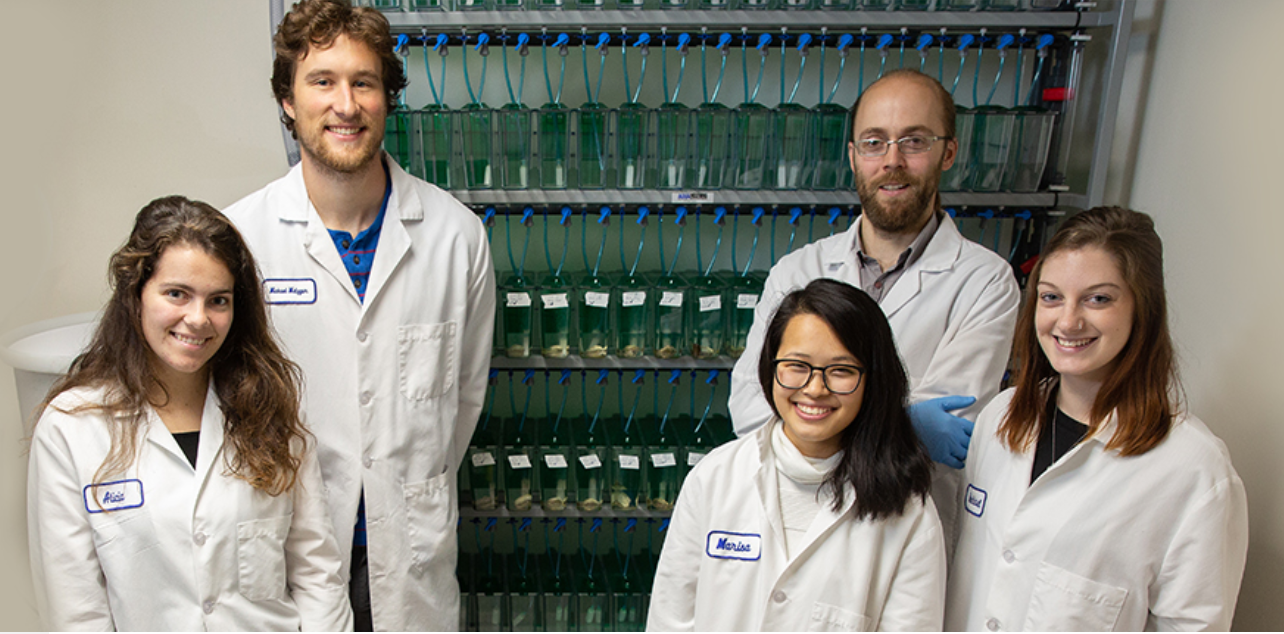 Research - Samuel Frederick Mock Hart